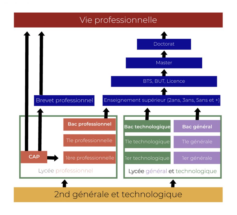 Coaching Orientation Scolaire Lycée par Élodie Guérin | Accompagnement en visio